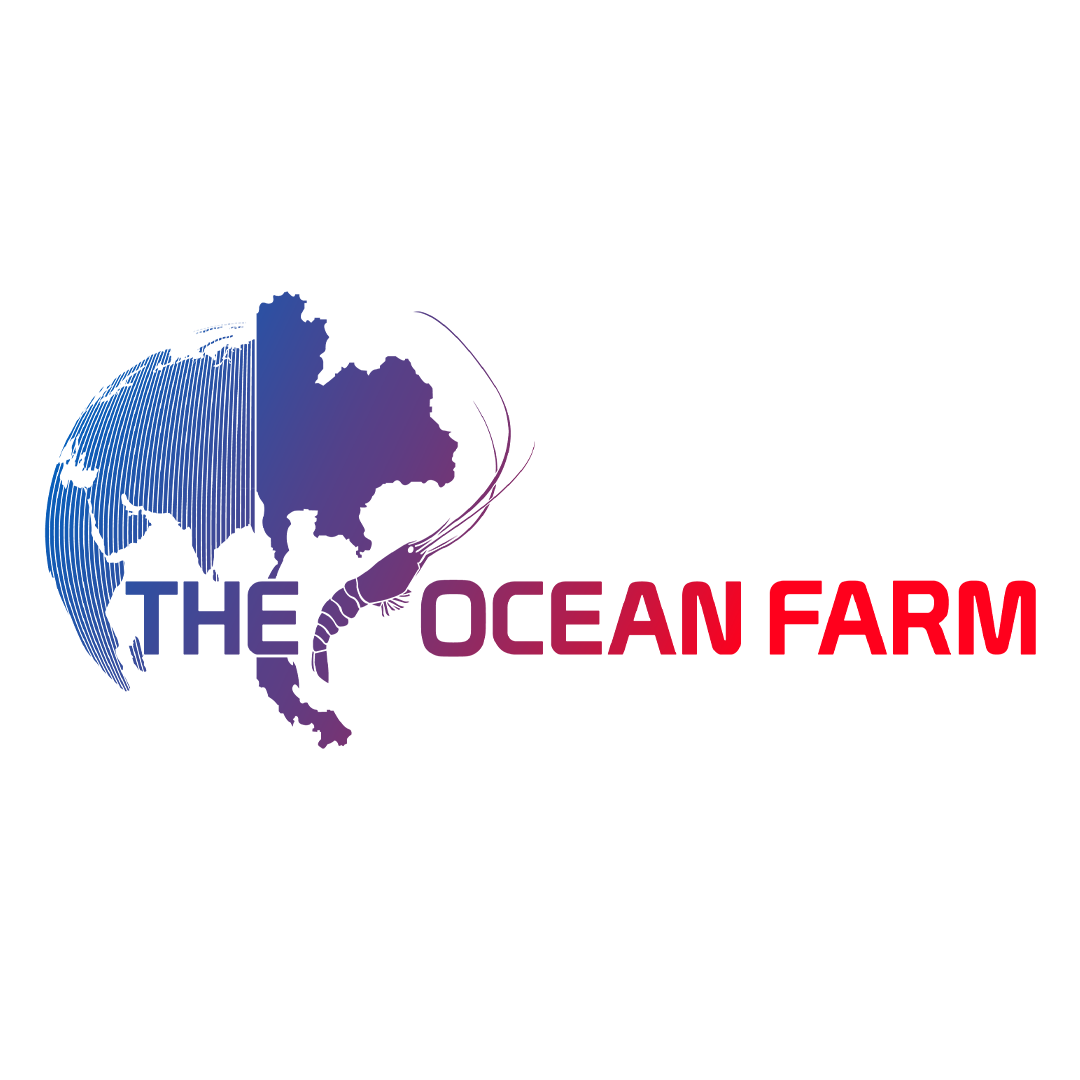 รวมบทความ